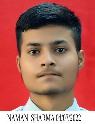 CBSE Toppers XIIth Class :: St Mary's Sr. Sec. School, Jwalapur